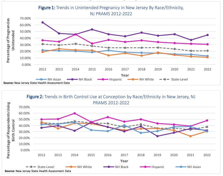 New Jersey's Changing Family Landscape: What Birth Rate Trends Mean fo ...